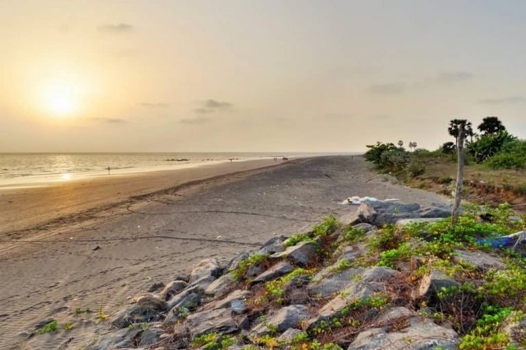 Best 7 Interesting Places To Visit in Vasai in 2020